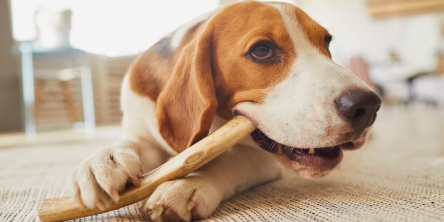 Homöopathie & Medizin D6 - Original Vermiculite